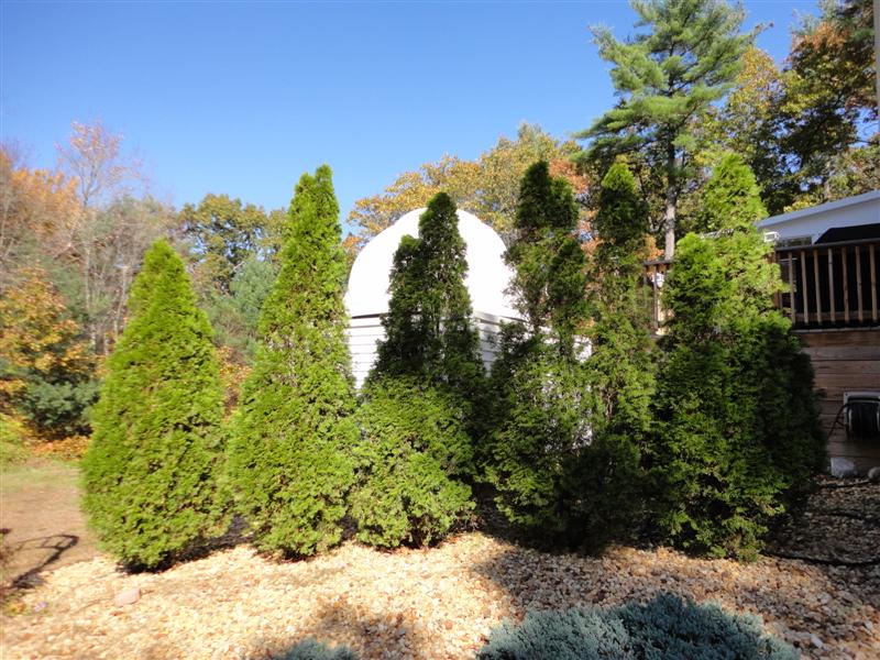 Observatory Sky Monitor - NovaLab Observatory